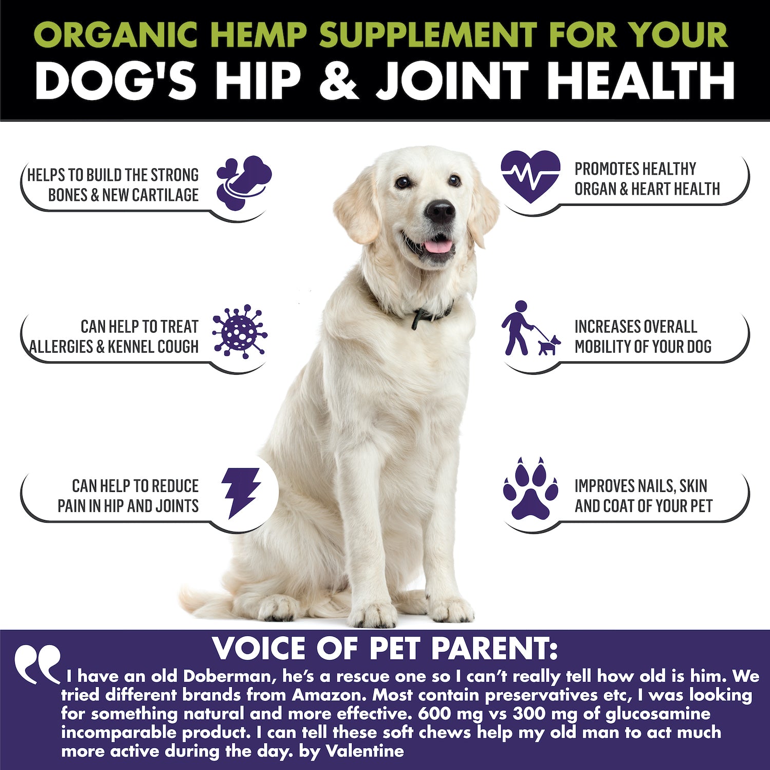 Organic Hemp Products for Pets | Wonderpetcare